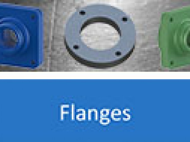 Flanges - JDS Technologies, Inc.