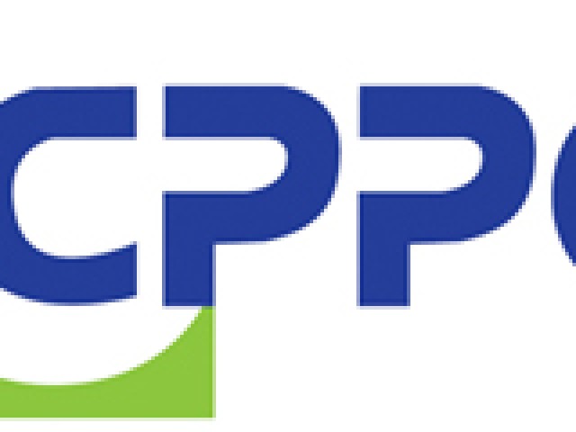 Gravure Printing Bag - C.P. PACKAGING (VIETNAM) INDUSTRY CO., LTD.